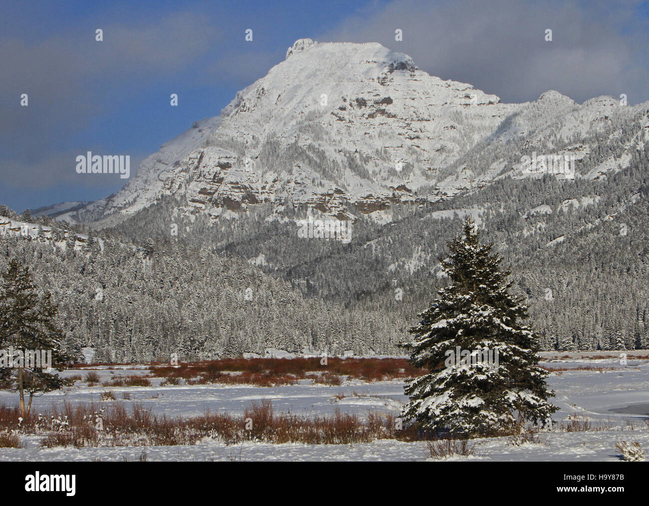 Yellowstone earth science hi-res stock photography and images - Alamy