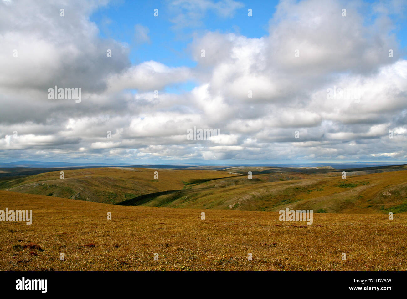 Bering land bridge tundra hi-res stock photography and images - Alamy