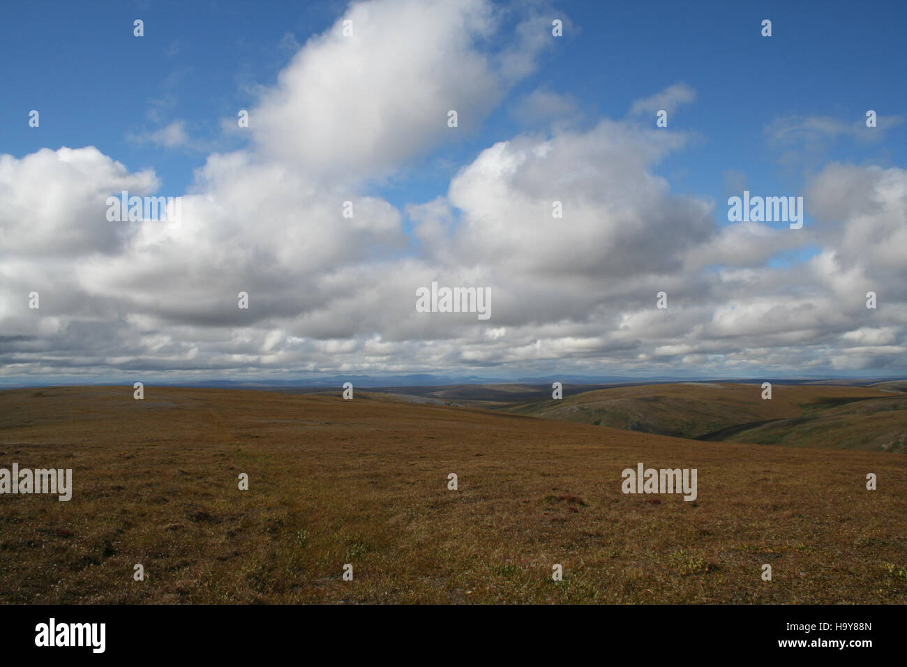 The tundra of the Bering Land Bridge National Preserve is illuminated ...