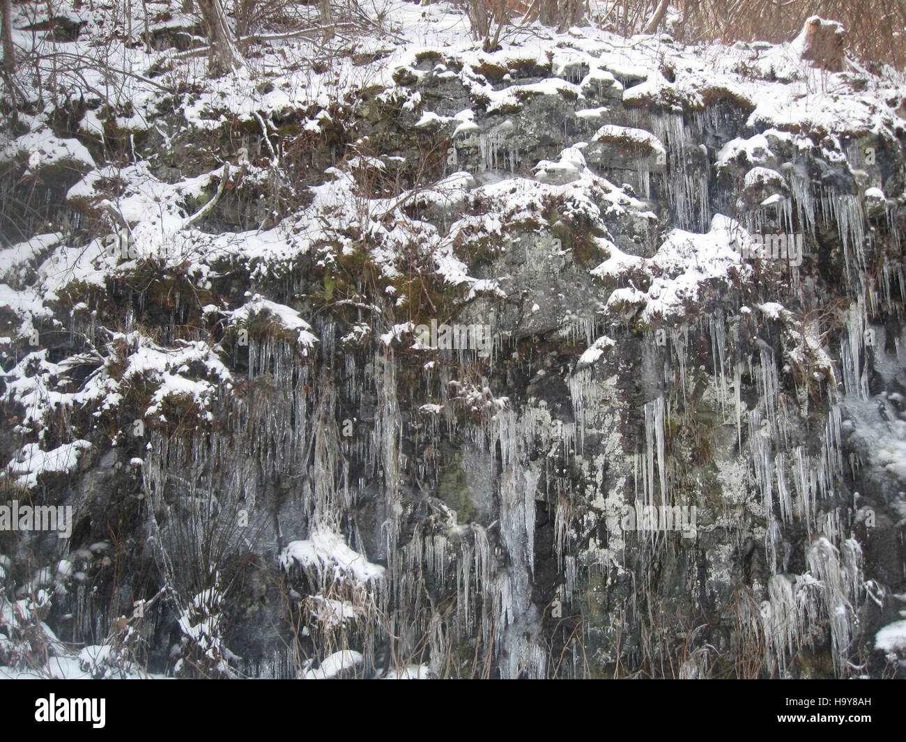 Icicles form as water drips and freezes in cold temperatures. This ...