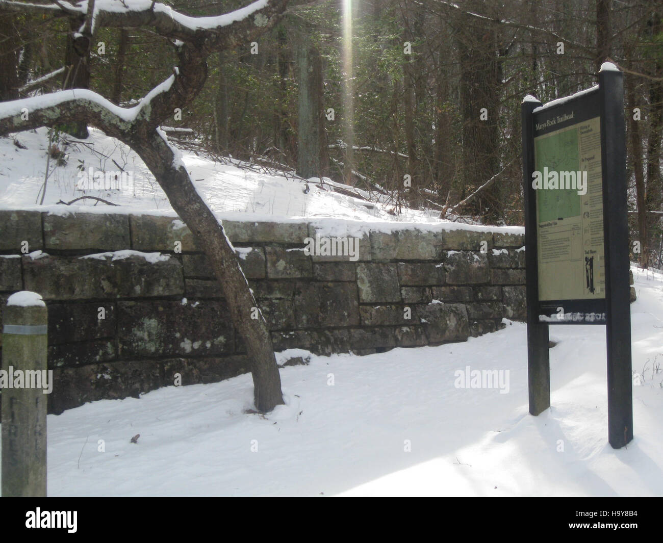 Mary's Rock Trailhead offers stunning panoramic views of Shenandoah ...