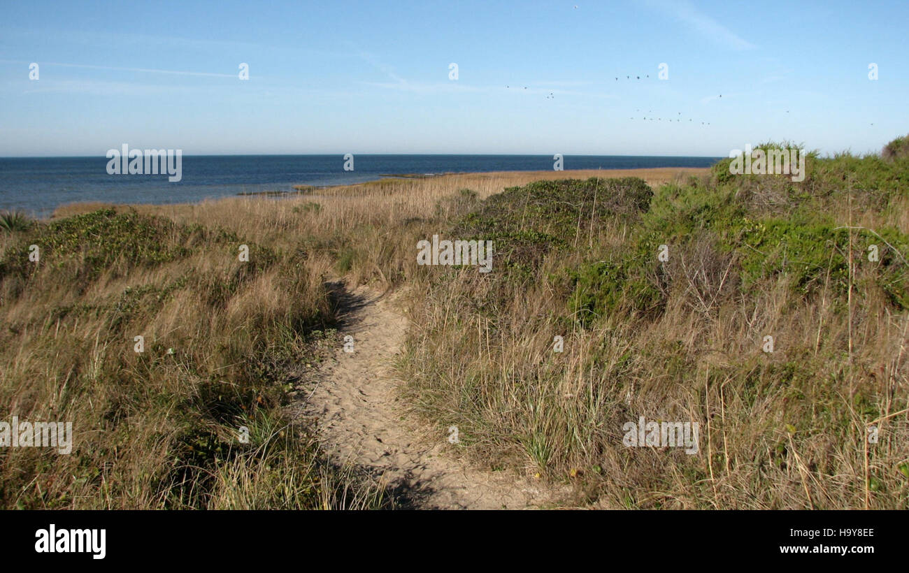 Soundside habitat hi-res stock photography and images - Alamy