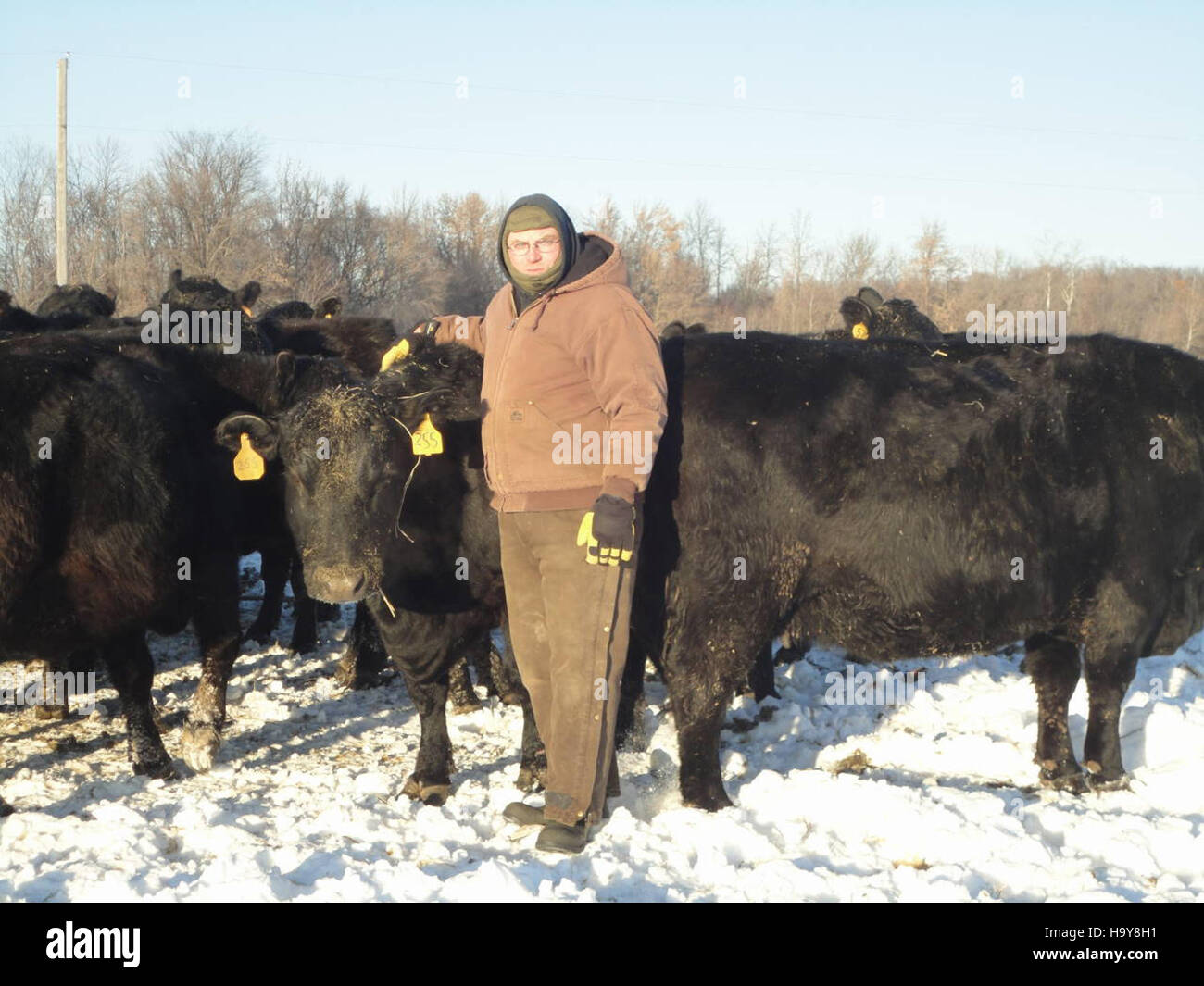 Rotational grazing hi-res stock photography and images - Alamy