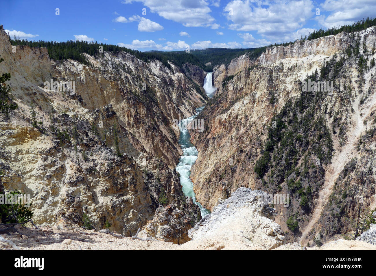 The Lower Falls of the Yellowstone River, viewed from Artist Point ...