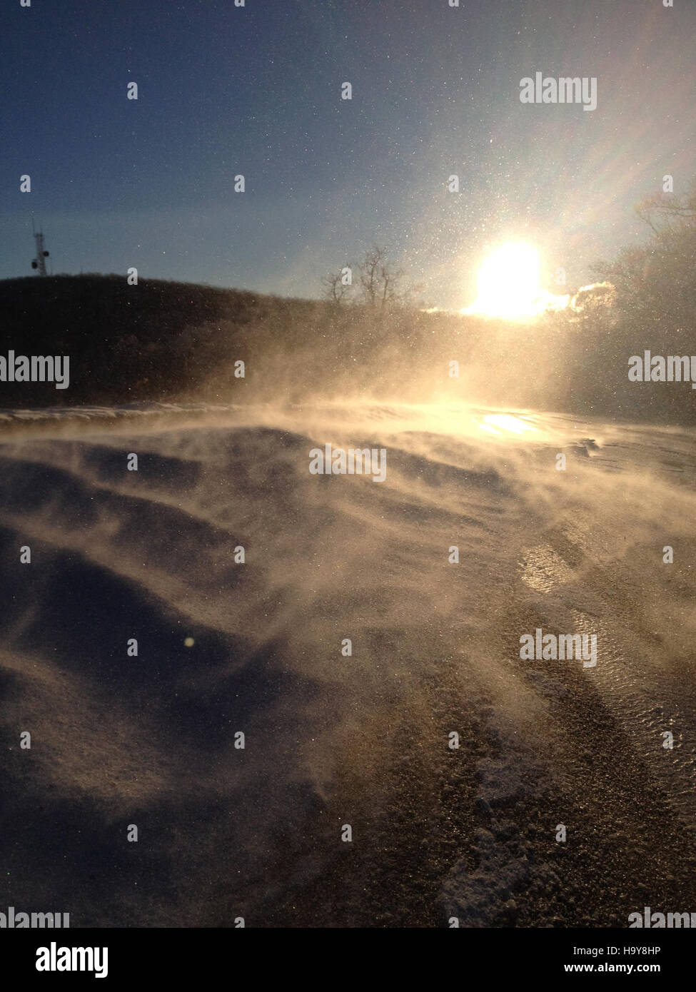 Snow is blown by the wind, creating a dynamic winter scene in a natural ...