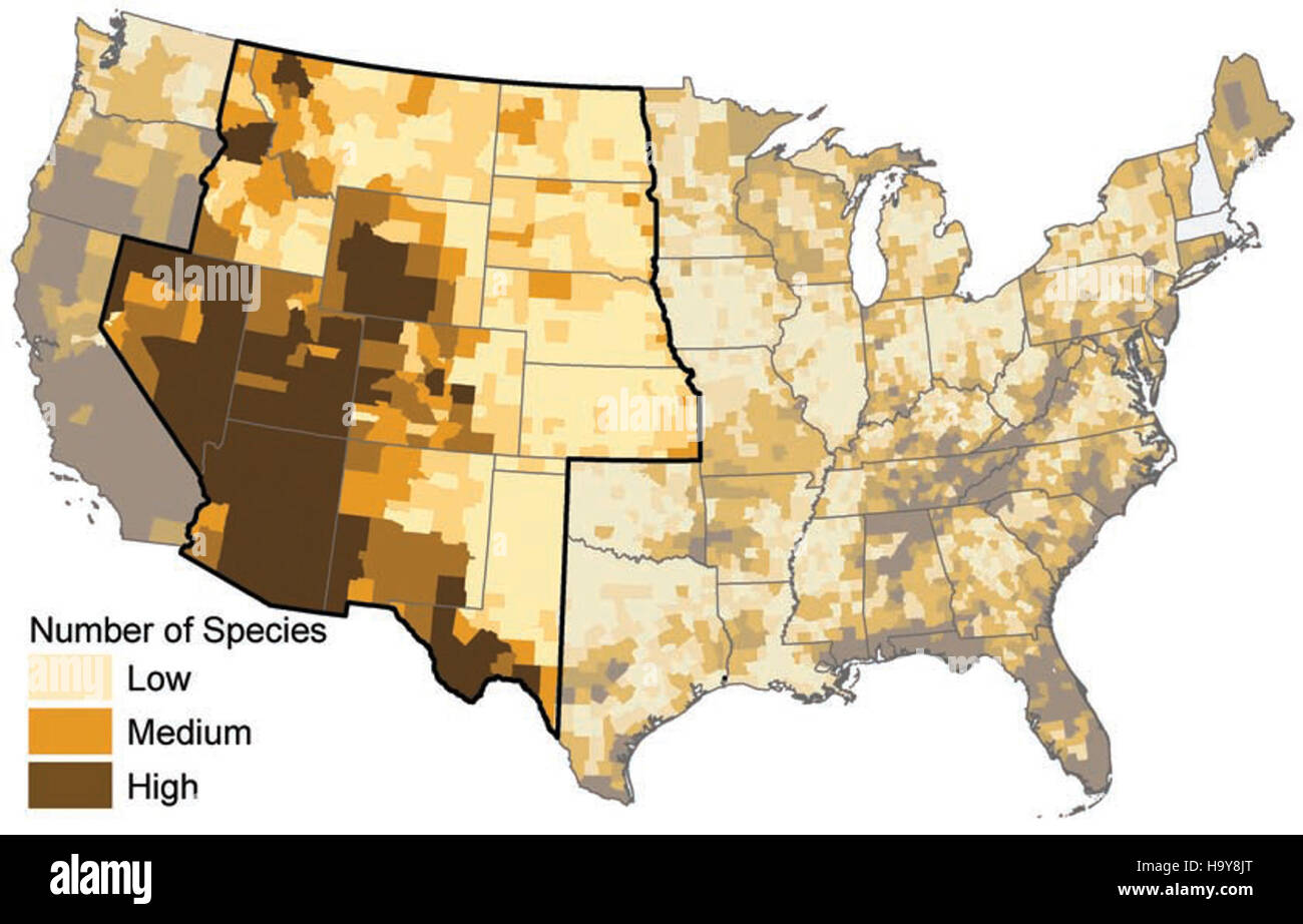 Global patterns Cut Out Stock Images & Pictures - Alamy