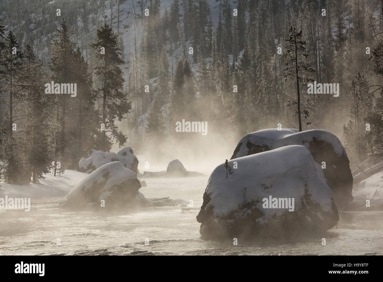 The ‘Christmas Tree Rock’ in Yellowstone National Park is a unique ...