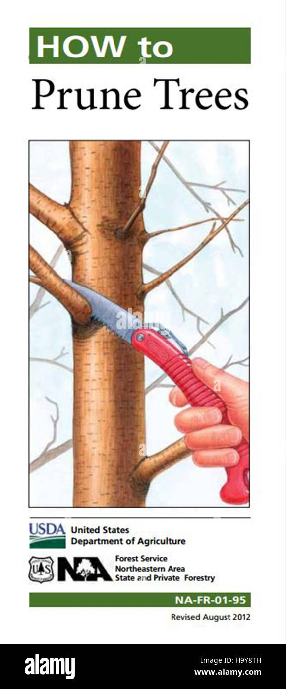 Urban park ecosystem Cut Out Stock Images & Pictures - Alamy