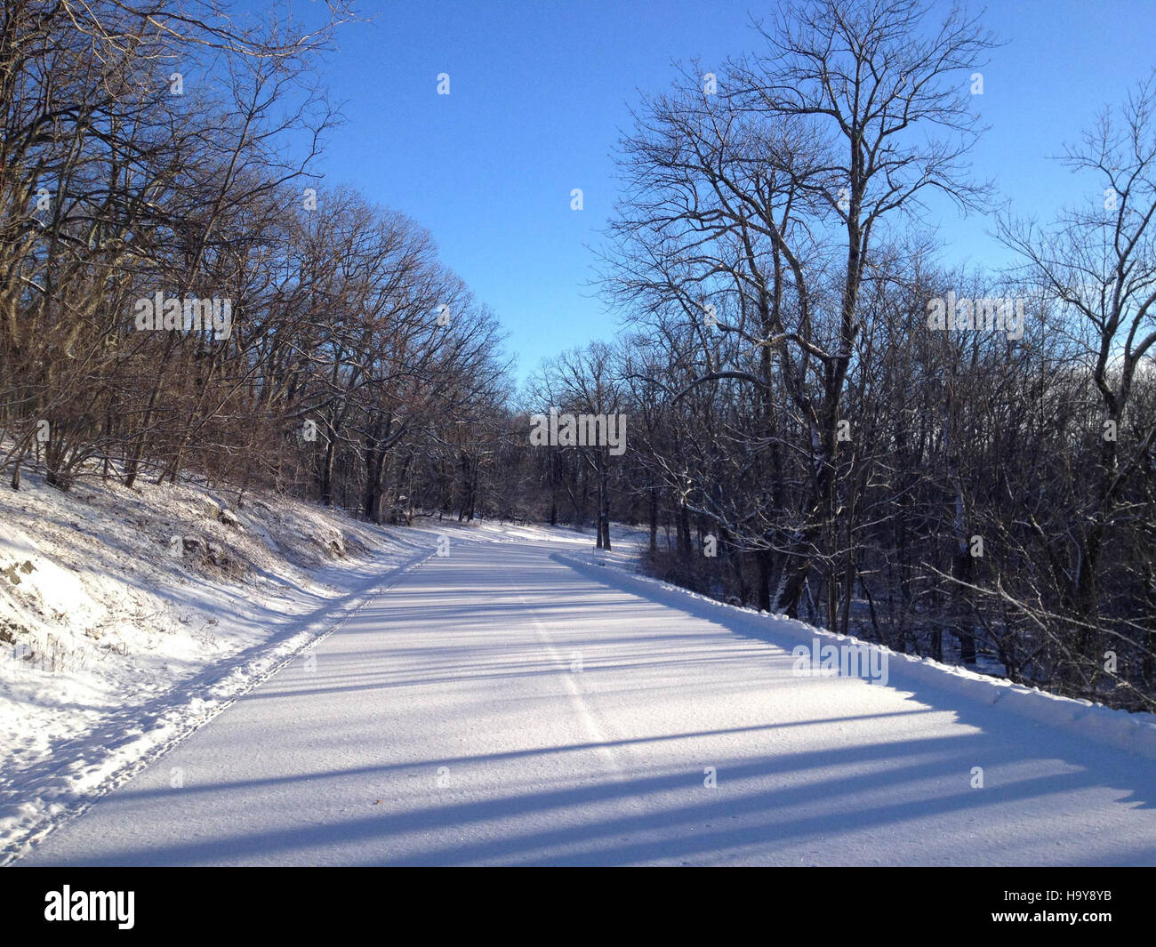 This image features a view from Skyland Drive, a scenic route in ...