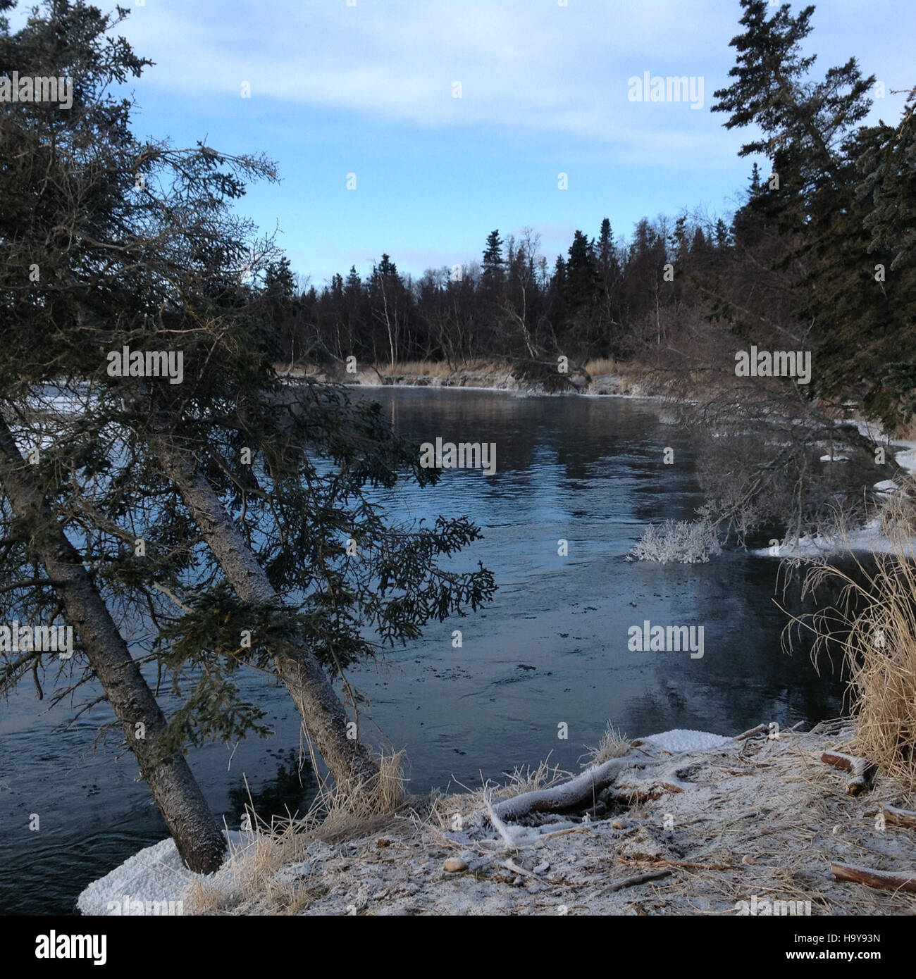 Brooks River in Katmai National Park offers a unique opportunity for ...