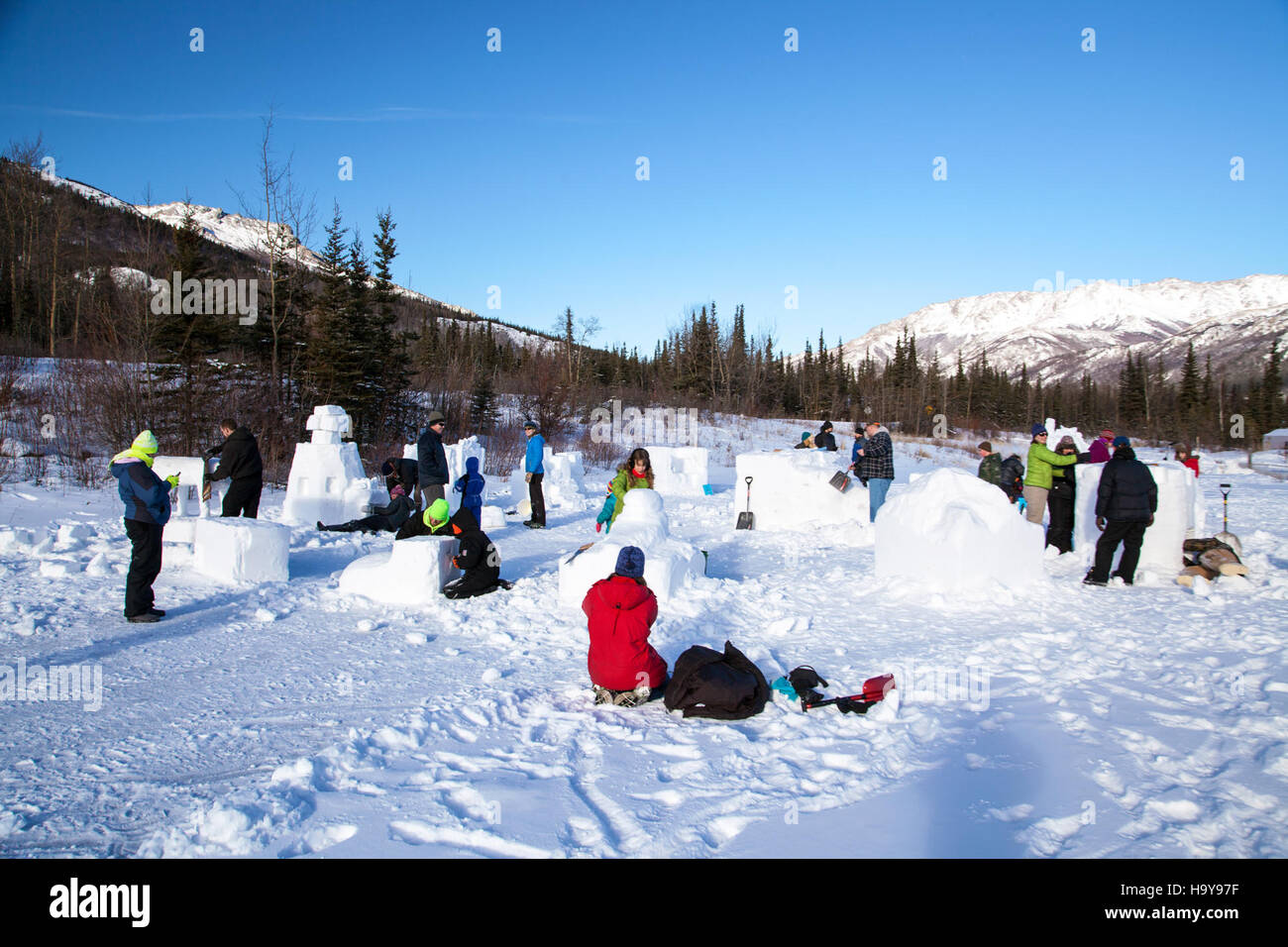 The Snow Carving Contest at Denali National Park is an annual event ...