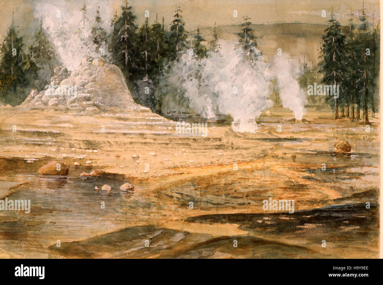 Castle Geyser in Yellowstone National Park is one of the most famous ...