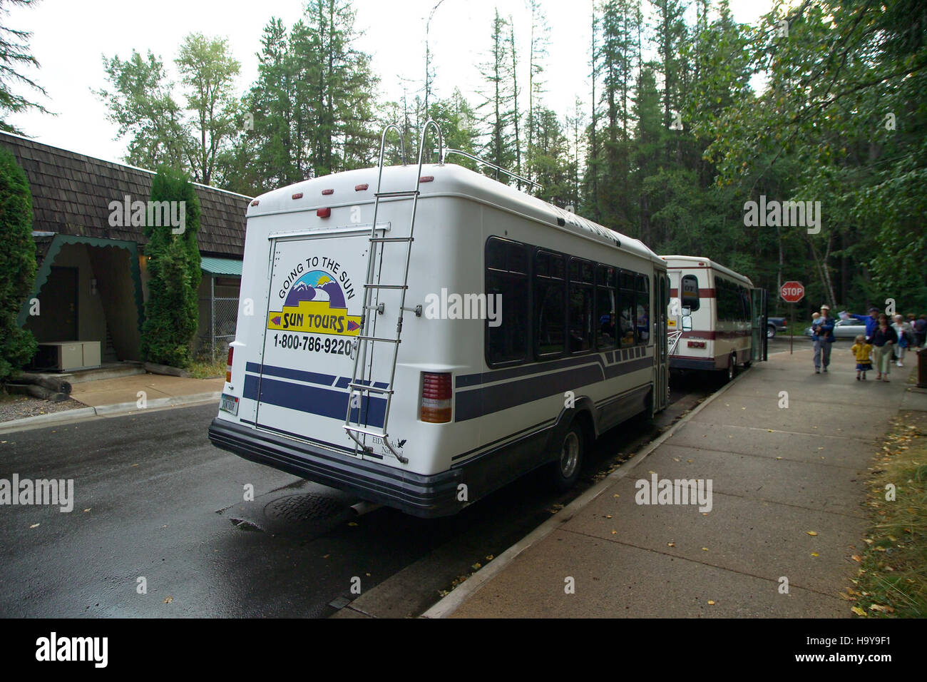 Sun Tours Buses provide transportation for visitors exploring Glacier ...