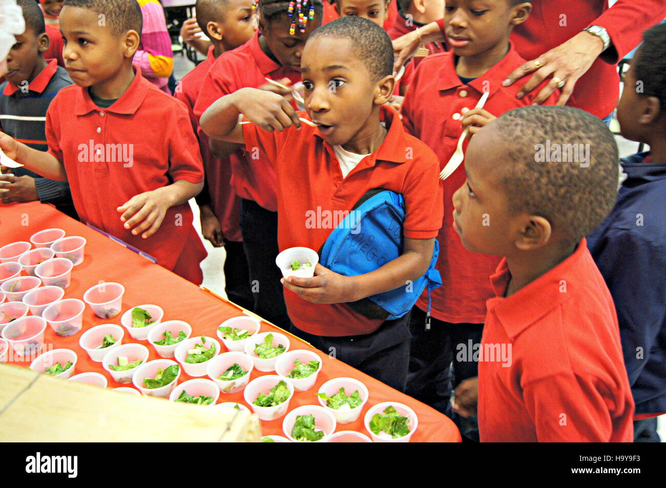 Farm to School programs connect local farms with schools, providing ...