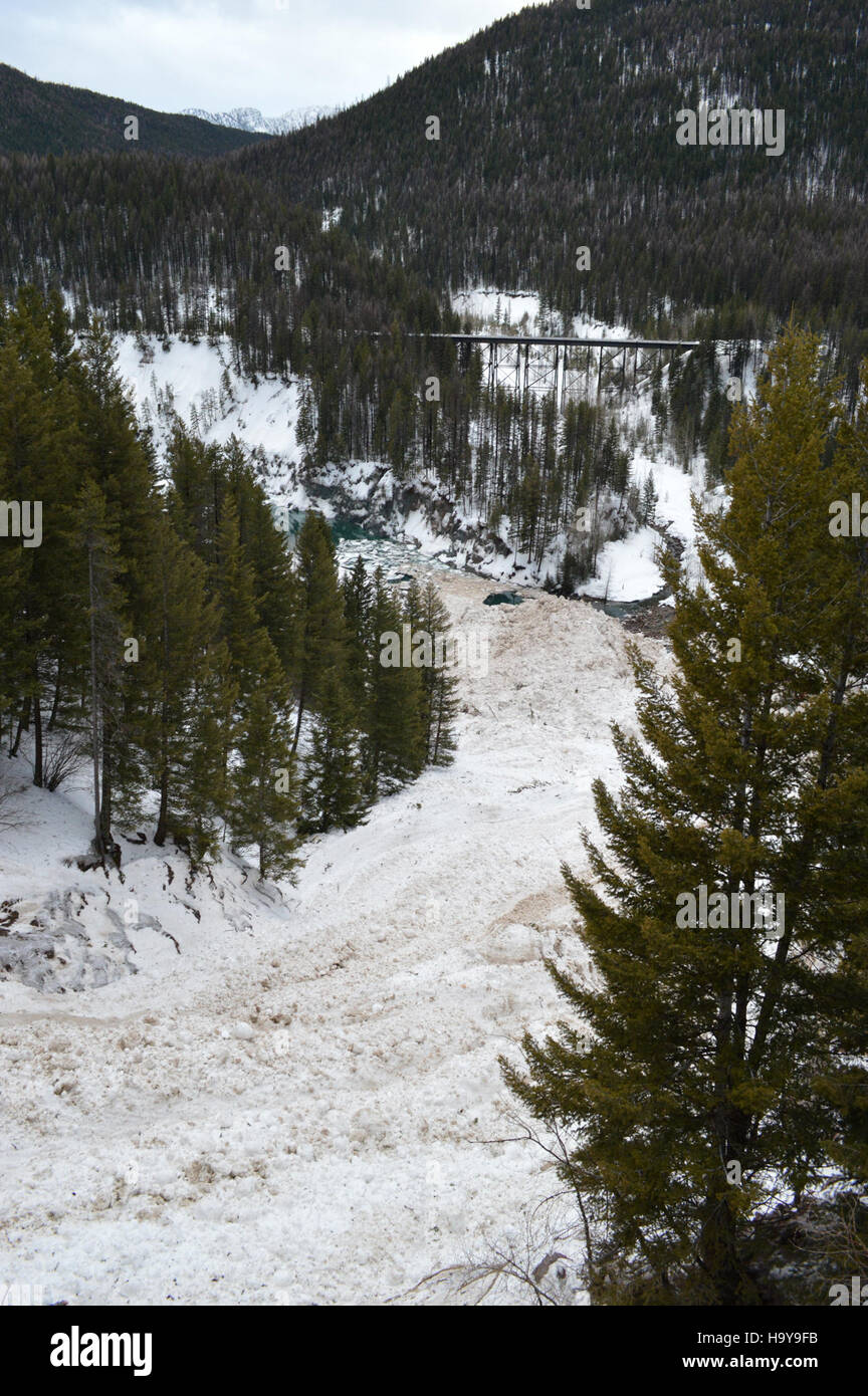 Goat Lick, a natural mineral lick located in Glacier National Park, is ...