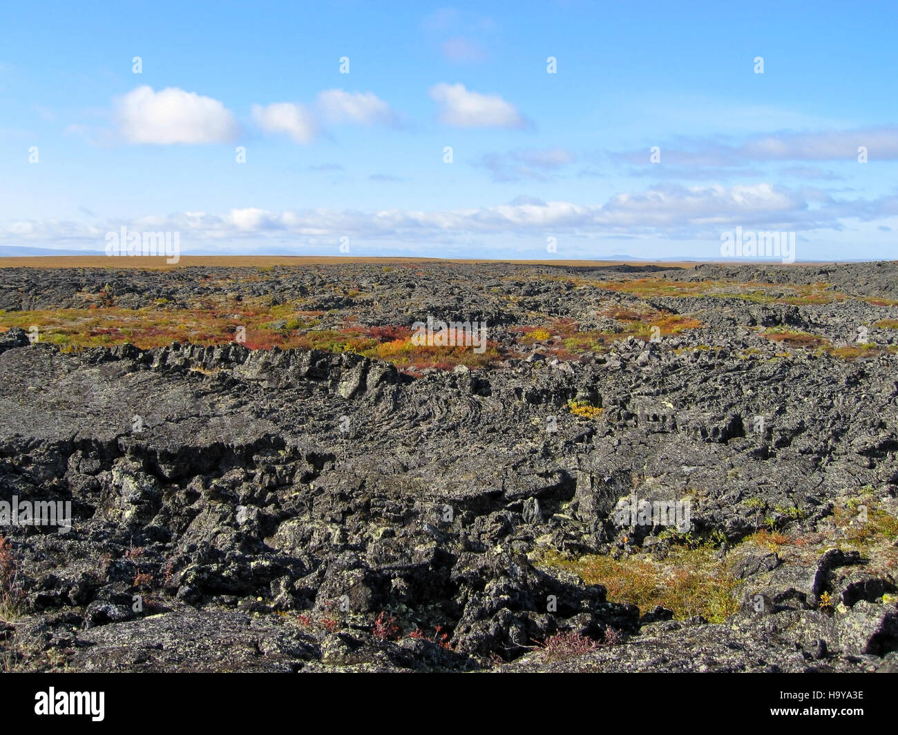 This image features the Bering Land Bridge, a pivotal geological area ...