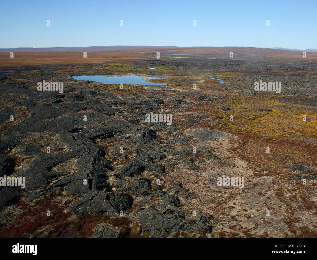 The Bering Land Bridge, a significant geographical feature, connects ...