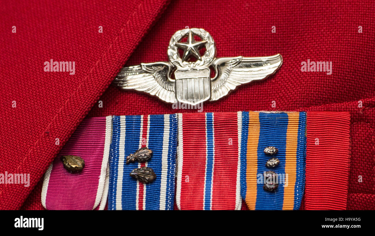 This photograph honors Colonel Charles Edward McGee, a Tuskegee Airman ...
