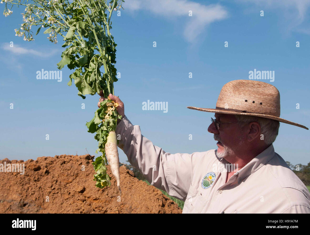 The image captured by USDA photographer Joel Love features a radish ...