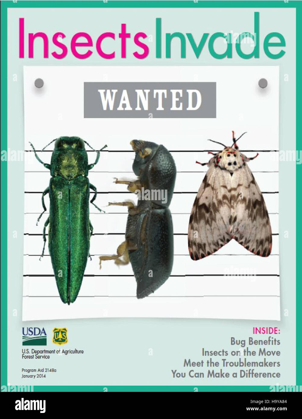 Cover for insects hi-res stock photography and images - Alamy