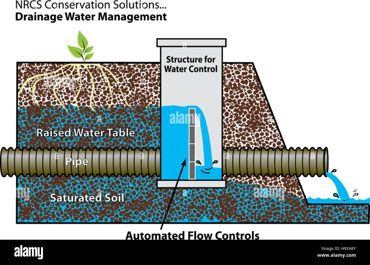 Dwm hi-res stock photography and images - Alamy