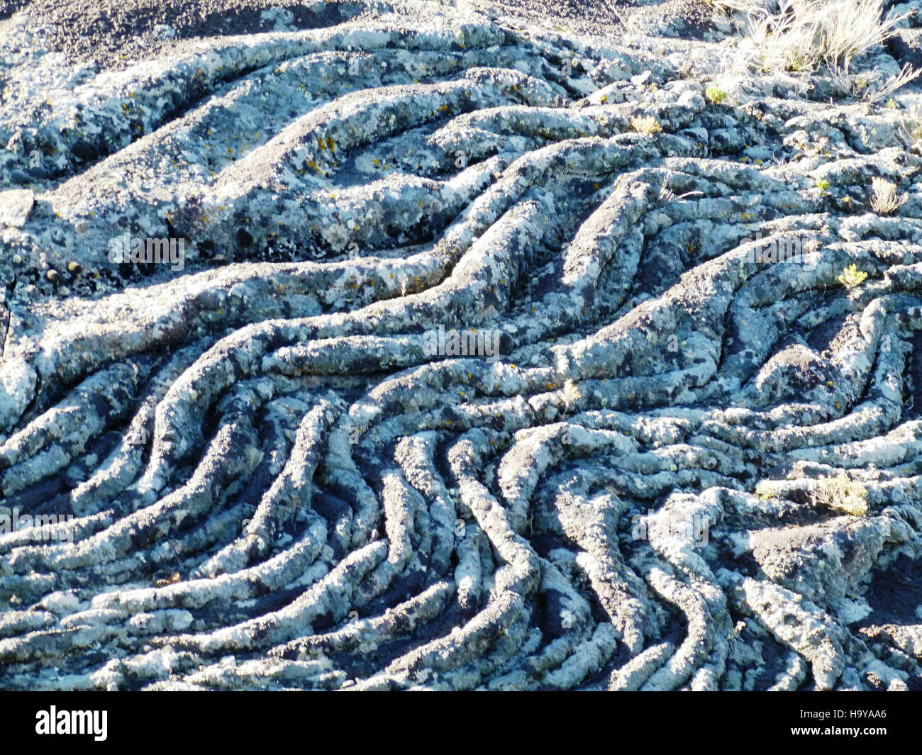 Texture mapping hi-res stock photography and images - Alamy