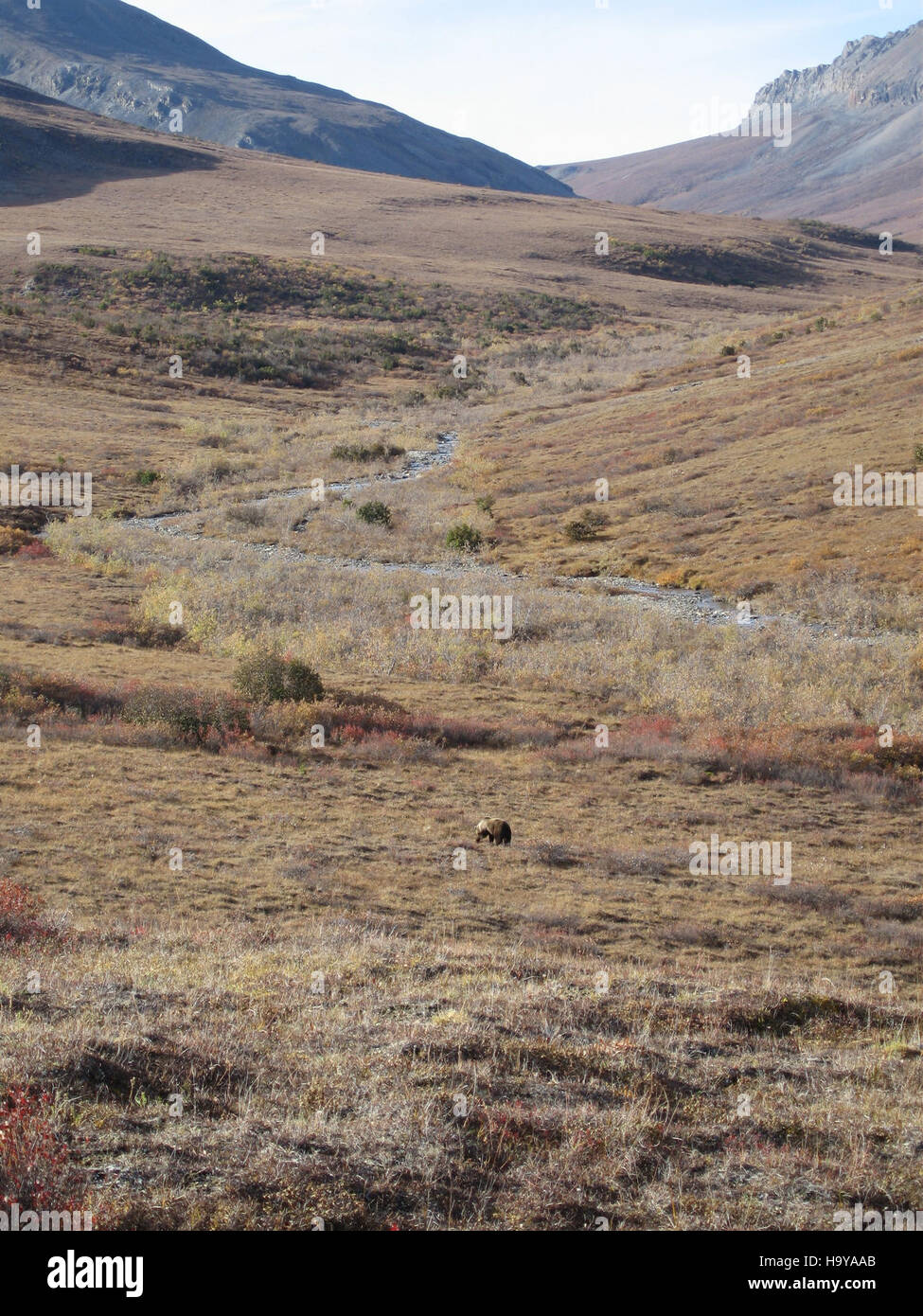This image showcases the breathtaking landscape of Kobuk Valley ...
