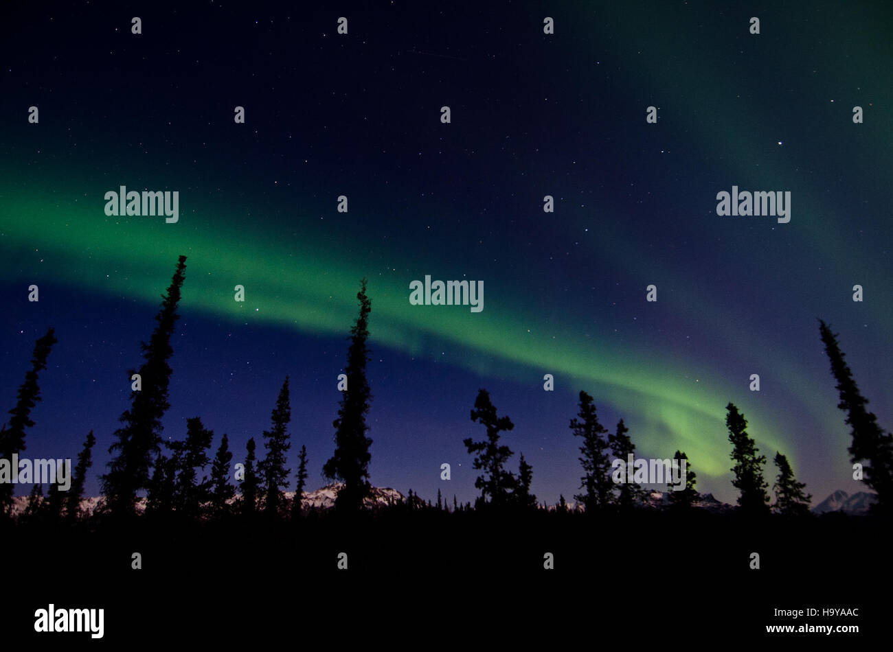This breathtaking photograph captures the Northern Lights, a stunning ...