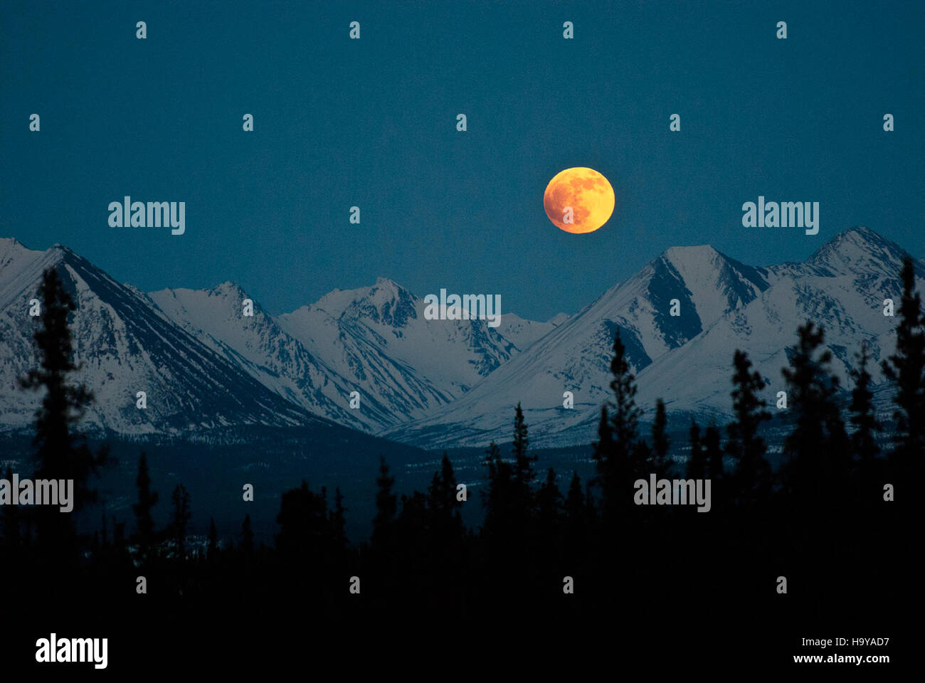 This photograph of Denali National Park features a stunning full moon ...