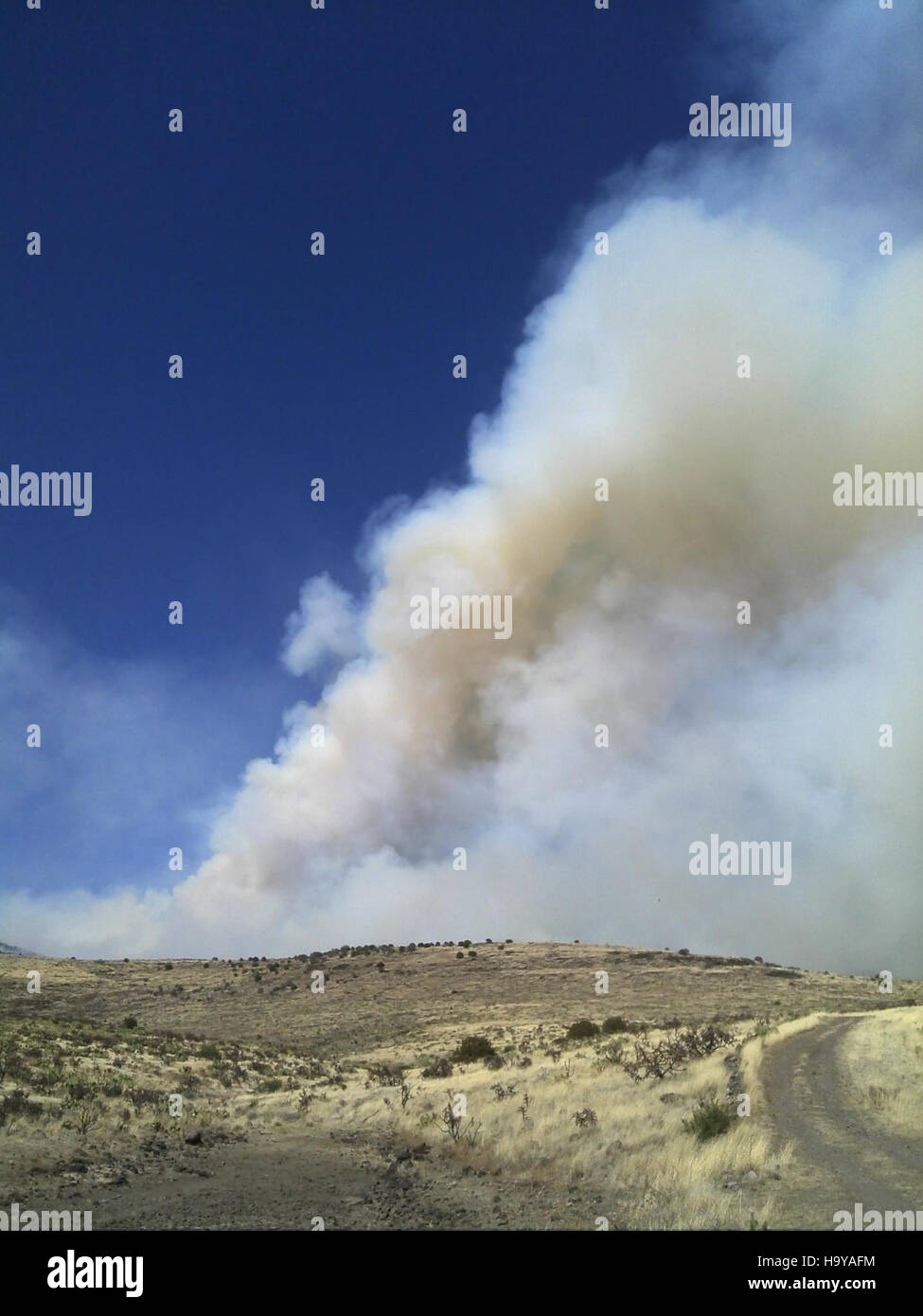 The image represents a firefighter battling a wildfire, labeled as ...