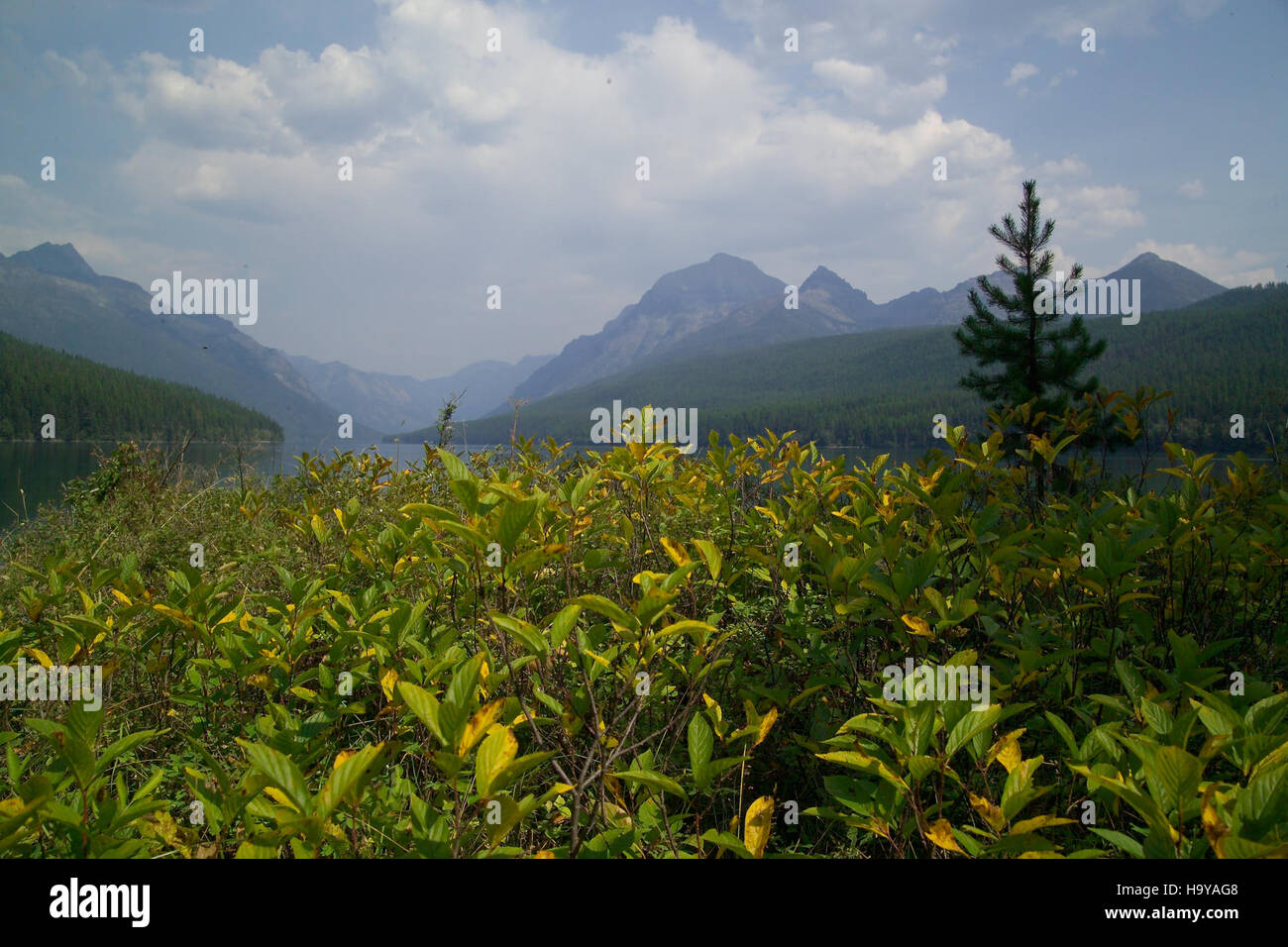 This image captures Bowman Lake in Glacier National Park, Montana ...