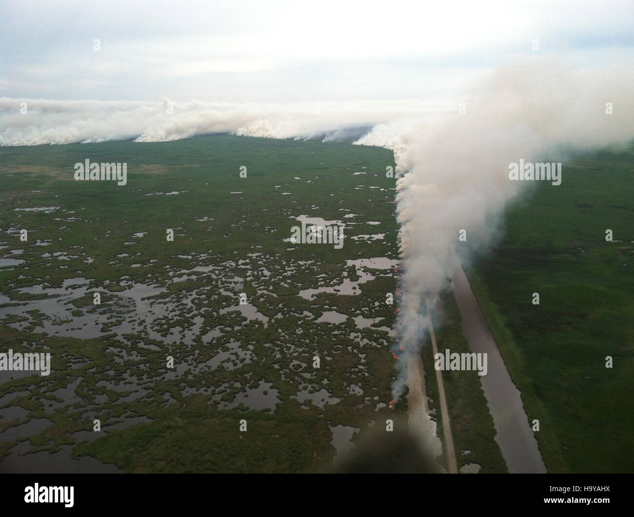 This image captures the intensity of the Pintail Wildfire, highlighting ...