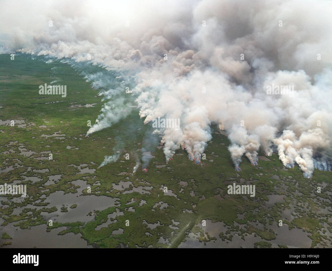 This image documents a wildfire event, specifically the Pintail Fire, a ...