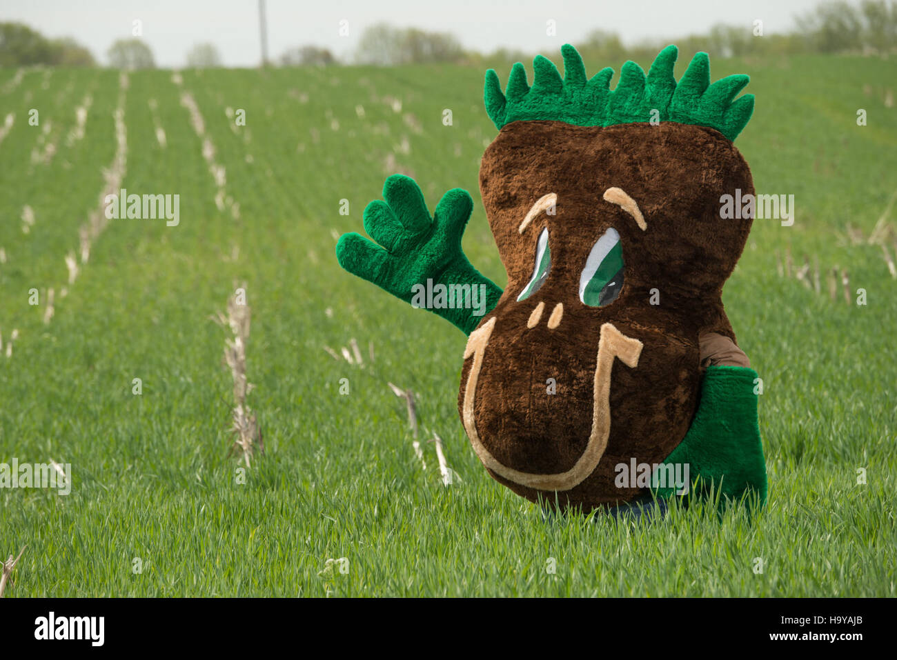 Using cover crops hi-res stock photography and images - Alamy