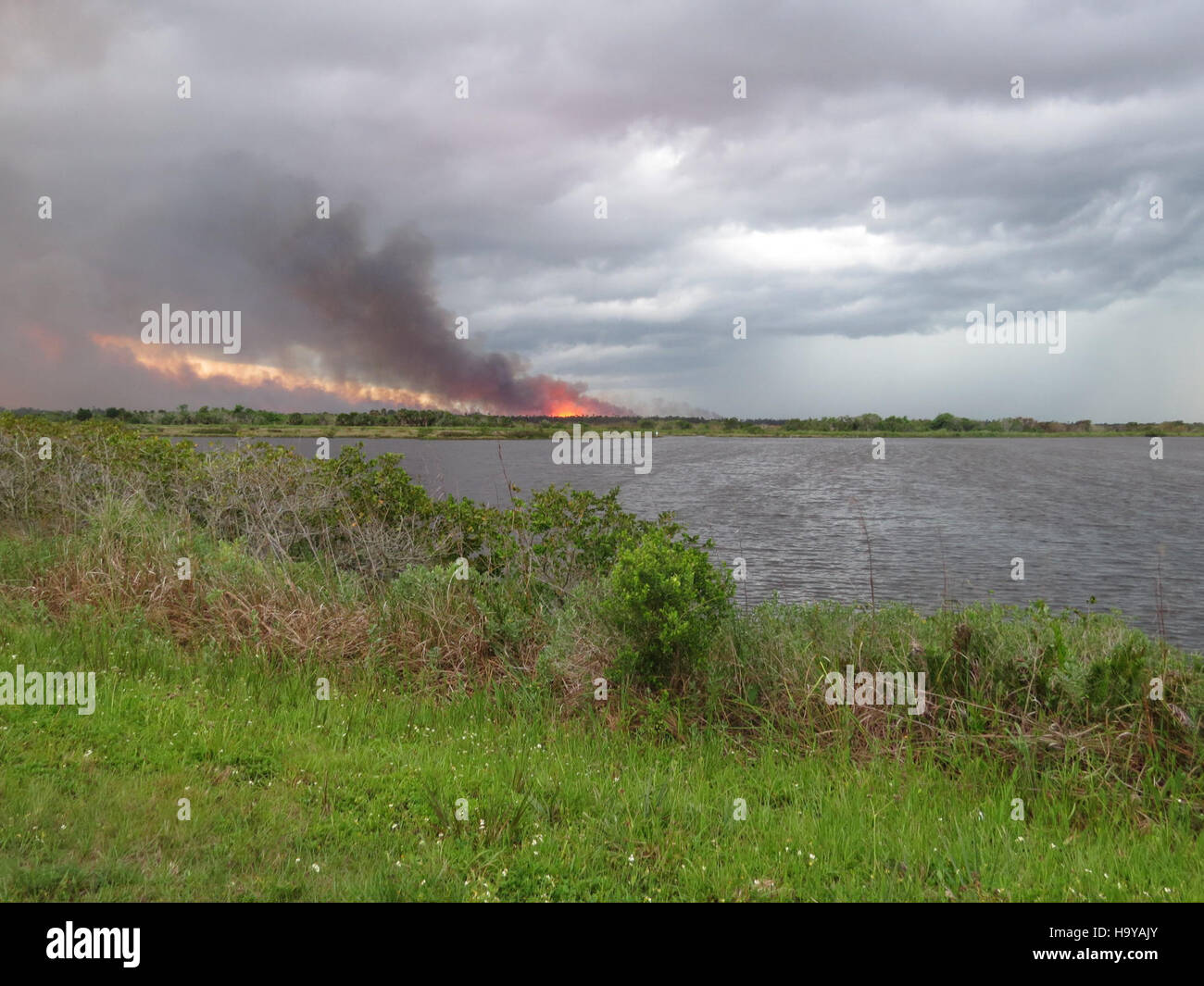 This photograph captures the intensity of a wildfire, specifically the ...