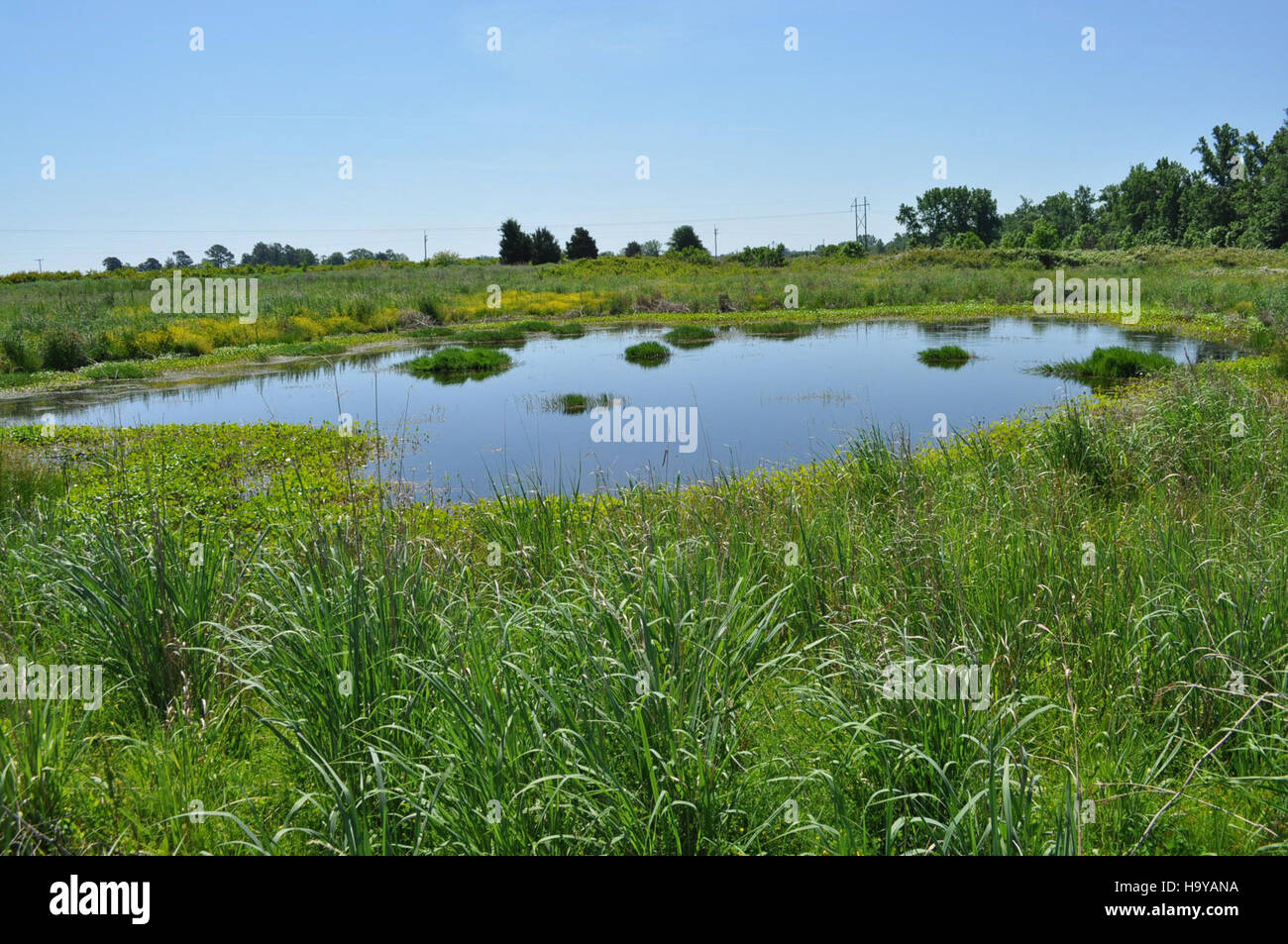 This image, associated with the U.S. Department of Agriculture, depicts ...