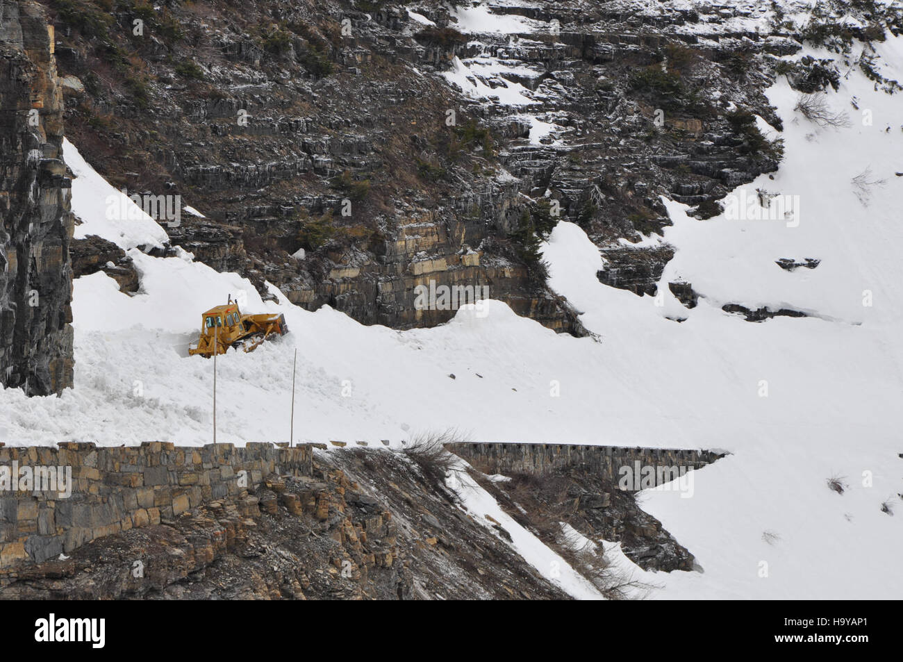 This photograph captures the Haystack Area in Glacier National Park ...