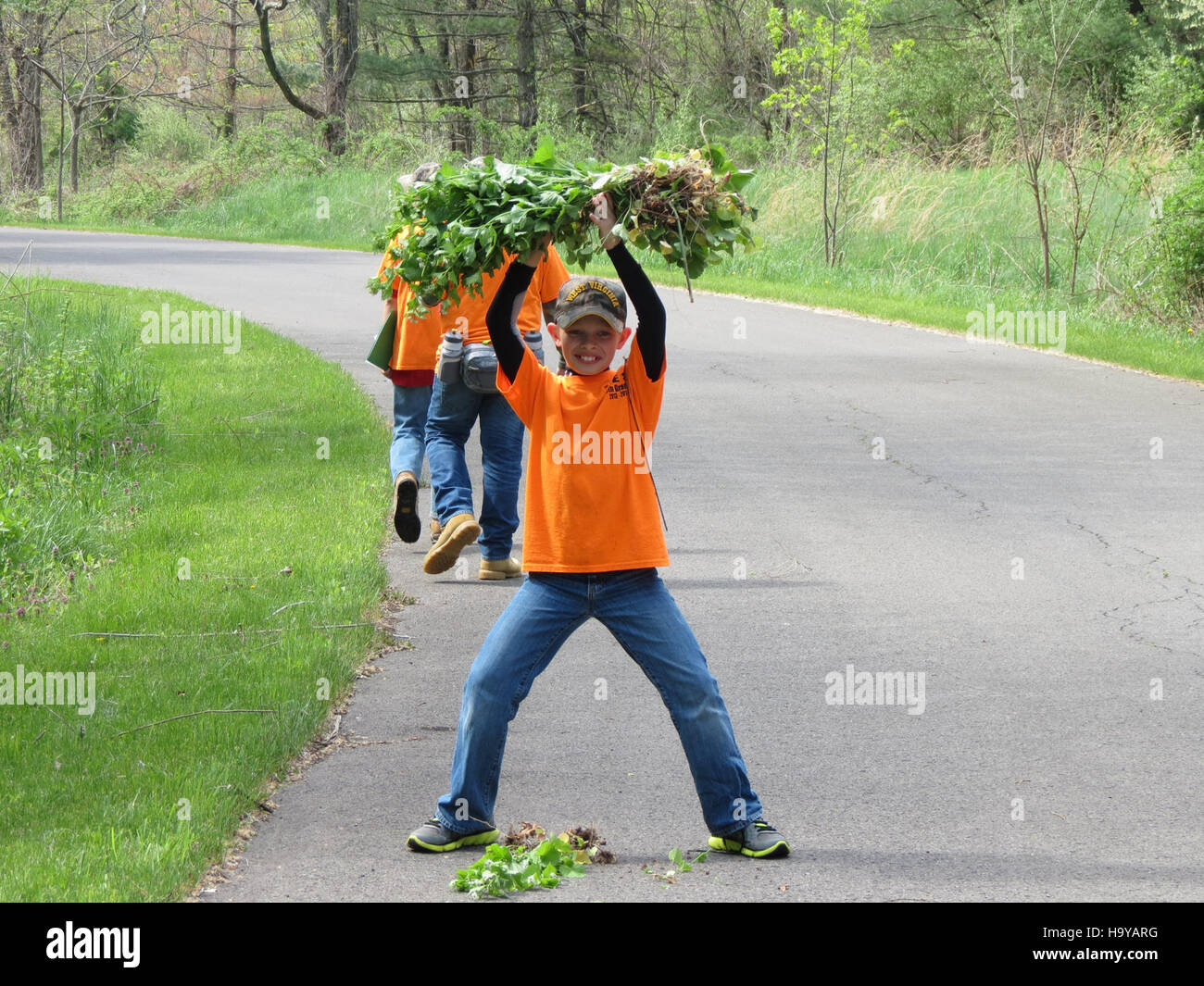 A photograph from the USDA shows garlic mustard, an invasive plant ...