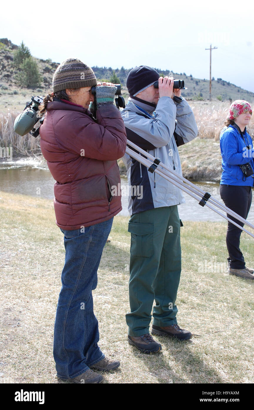 This image from BirdFest 2014 captures a celebration of birdwatching ...