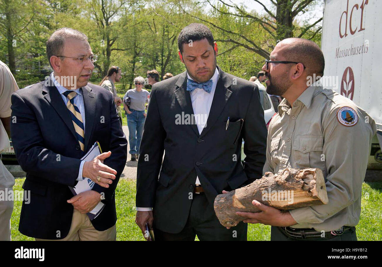 This image shows an Asian Longhorn Beetle (ALB) in Boston, as part of a ...