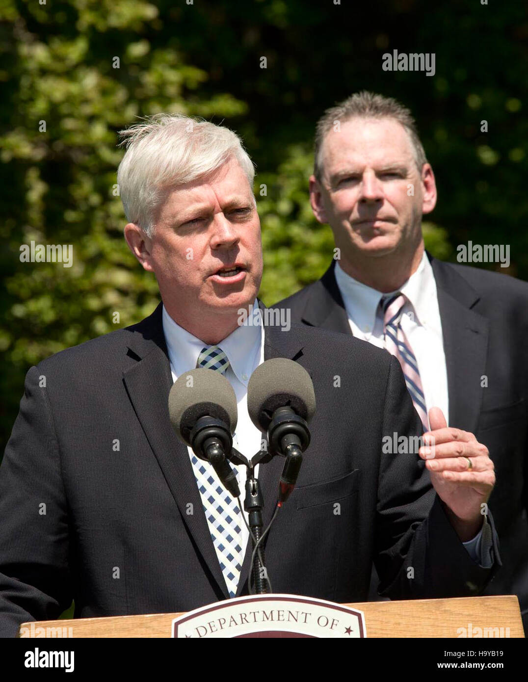 This image shows an Asian Longhorn Beetle (ALB) in Boston, captured as ...