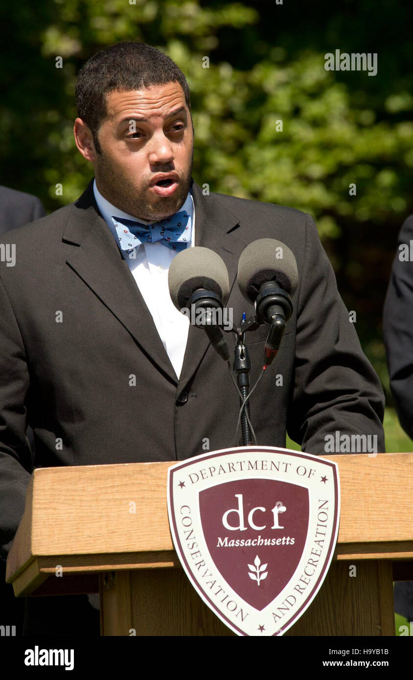 This image shows the Asian Longhorn Beetle (ALB), an invasive species ...