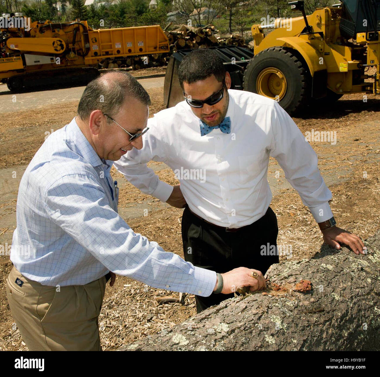 The Asian Longhorn Beetle (ALB) is an invasive species that threatens U ...