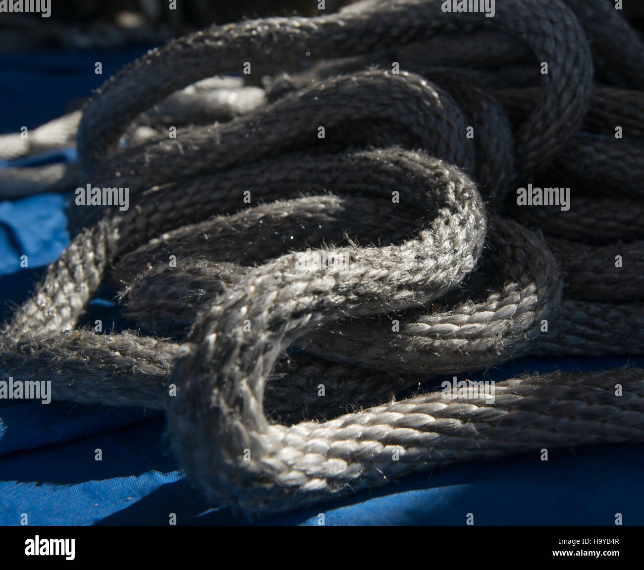 The USDA Forest Service's National Helicopter Rappel Program trains ...