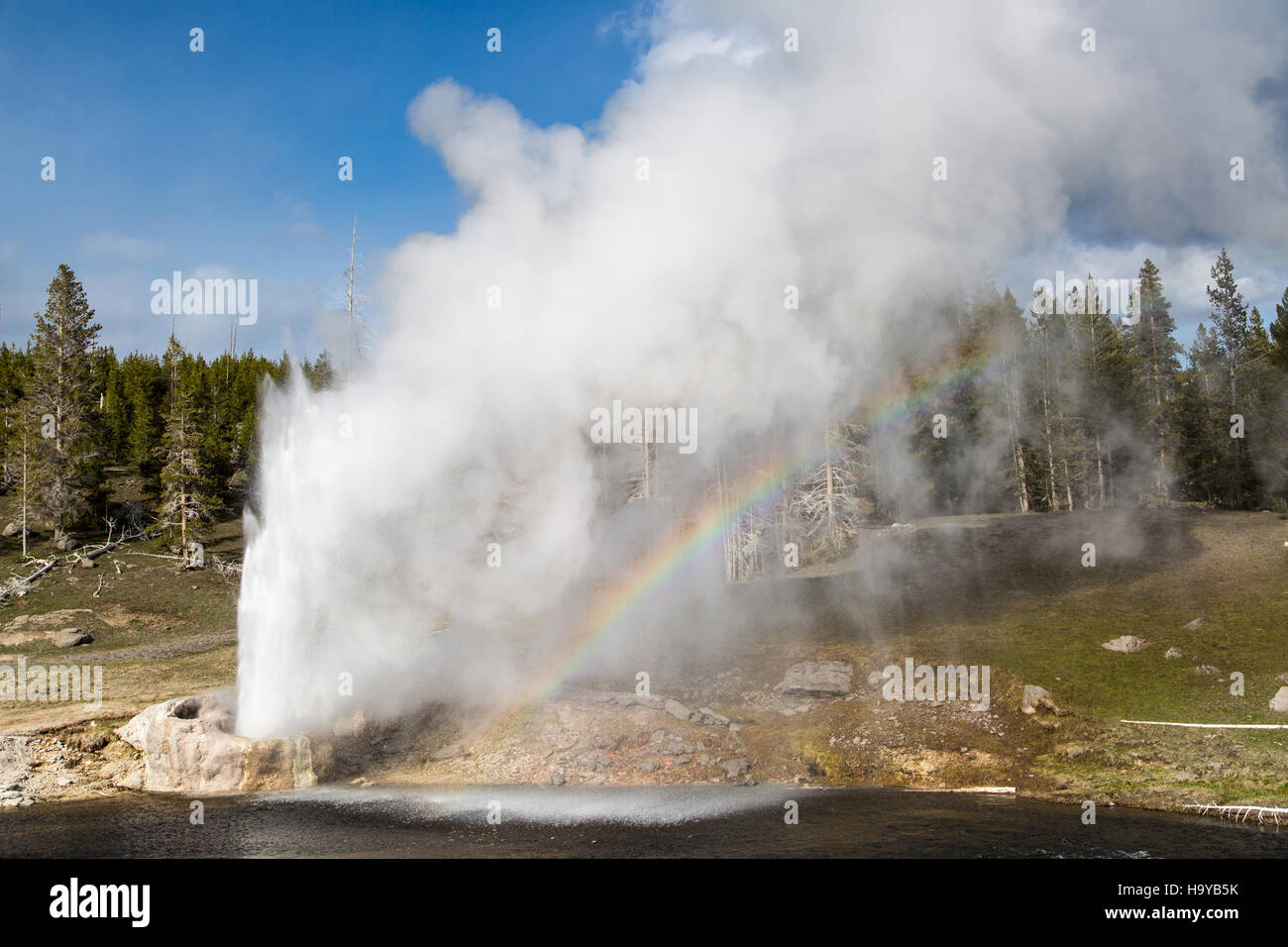 Riverside Geyser, located in the Upper Geyser Basin of Yellowstone ...
