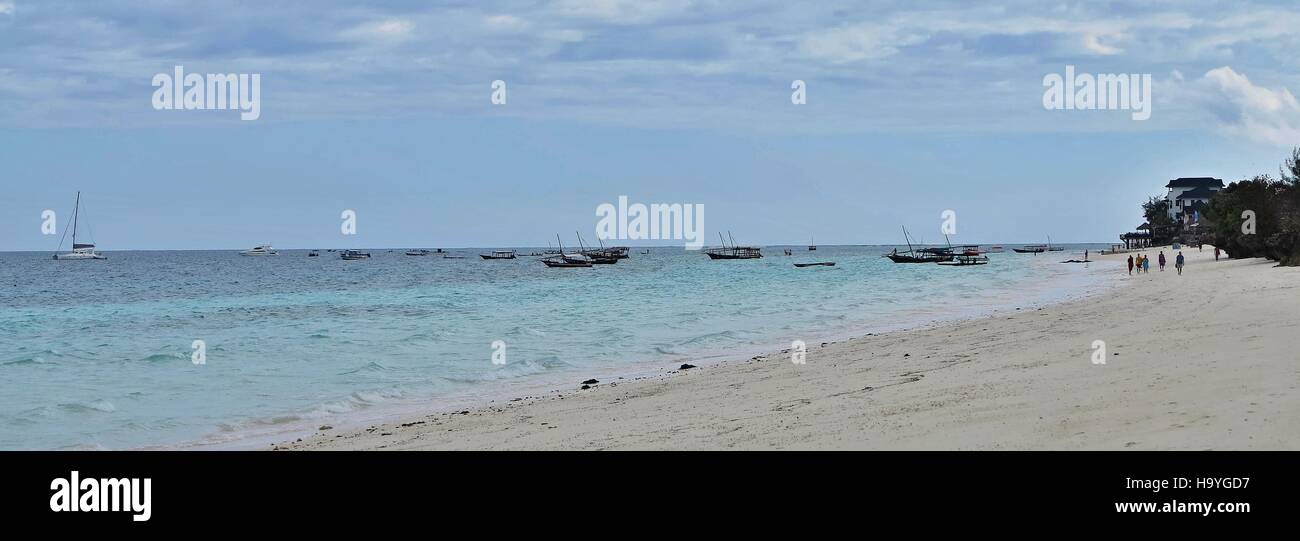 Amazing nature and landscape in africa congo, wild and nature in africa ...