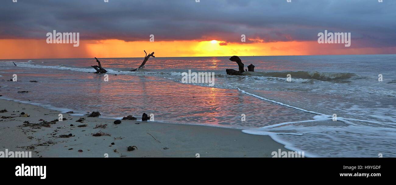 Amazing nature and landscape in africa congo, wild and nature in africa ...