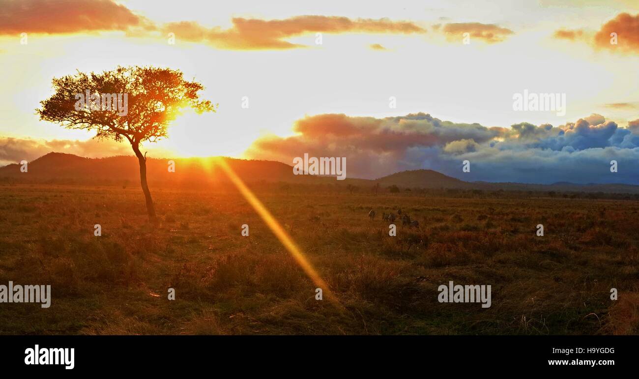 Amazing nature and landscape in africa congo, wild and nature in africa ...