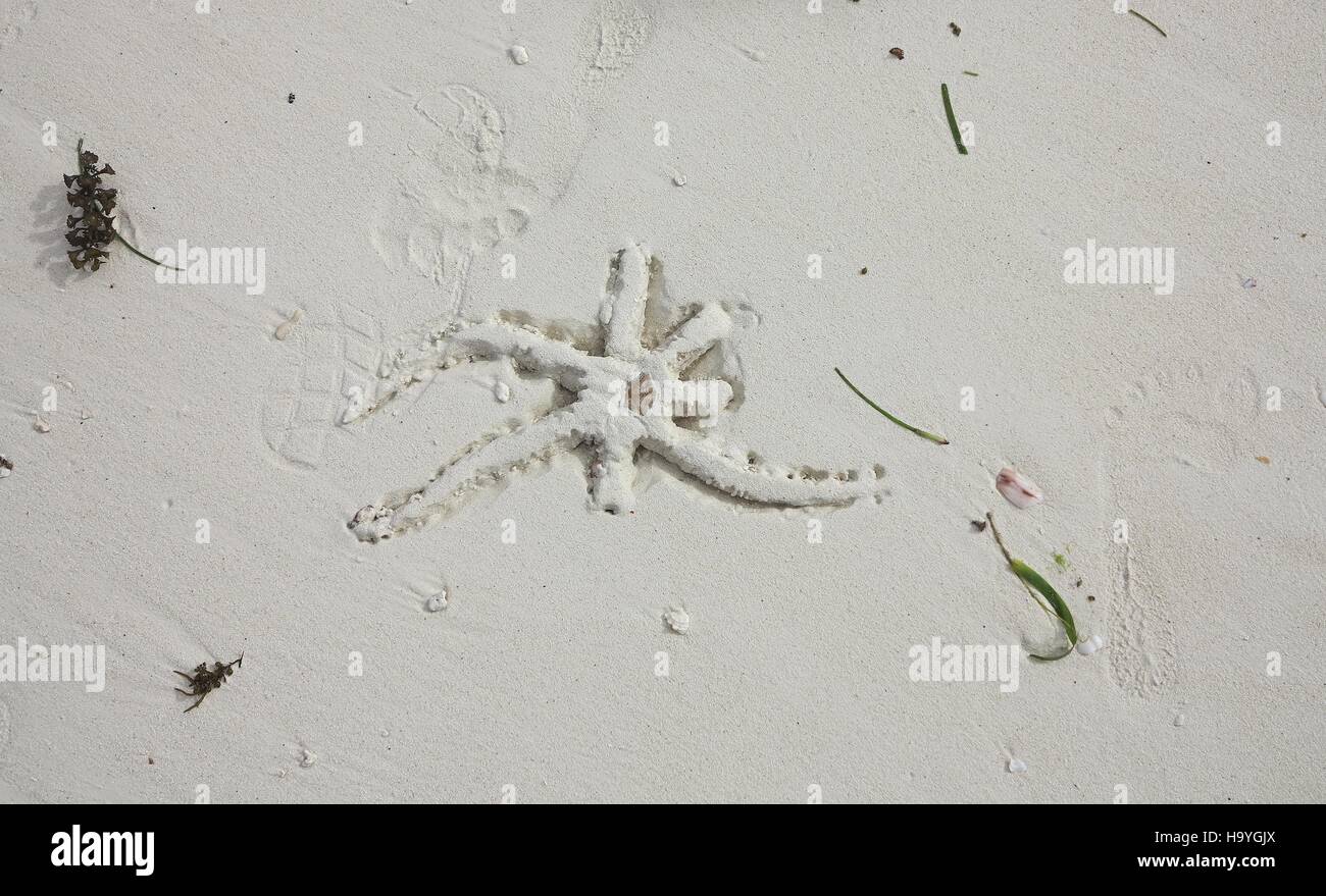 Amazing nature and landscape in africa congo, wild and nature in africa ...