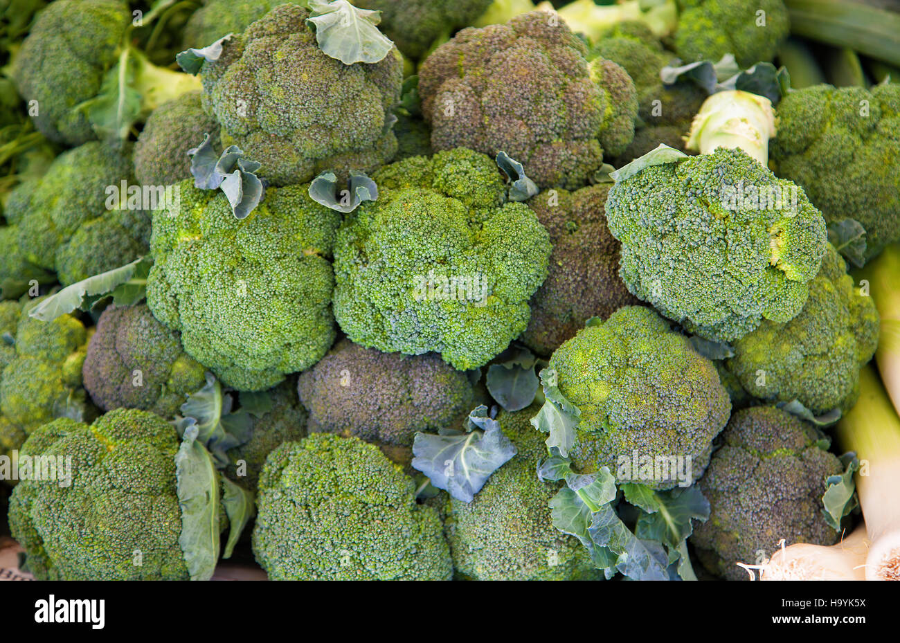 Heap of broccoli vegetables on Farmer's market Stock Photo - Alamy